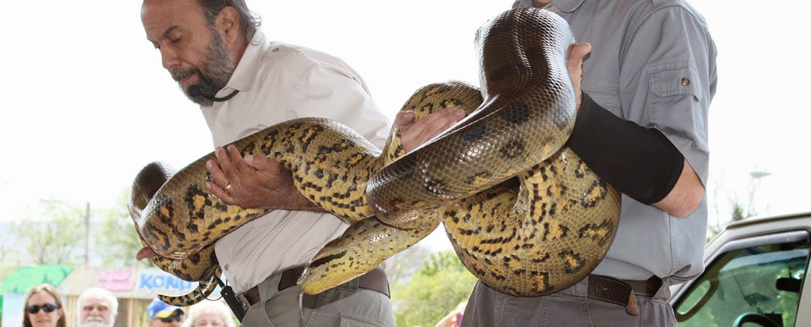 Reptile World